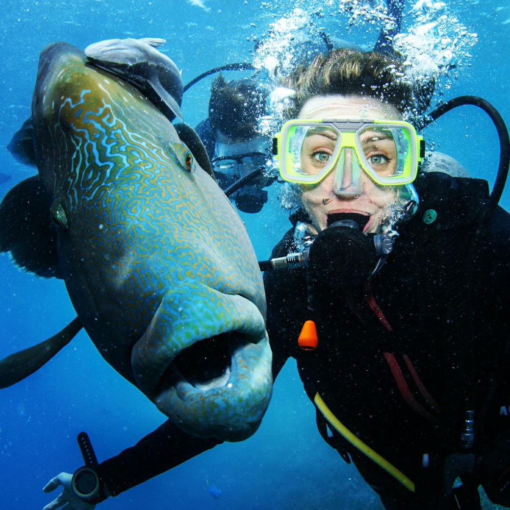 Board Members | Southwest Virginia Wildlife Center of Roanoke